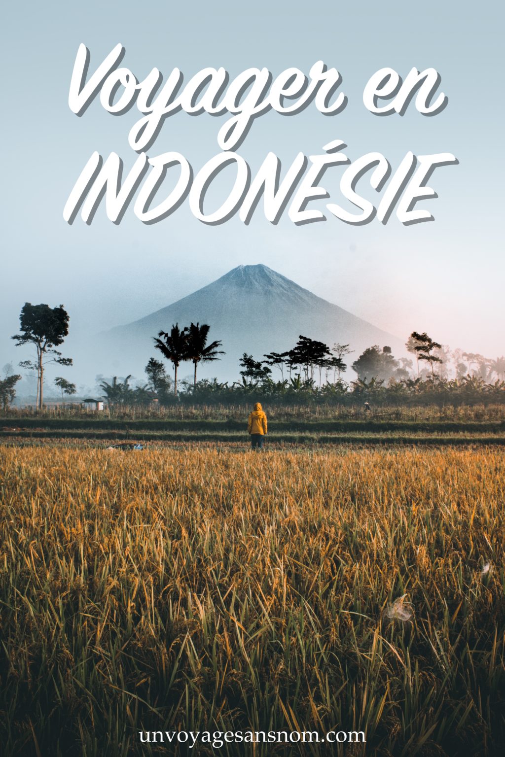 Voyager en Indonésie : infos et conseils, mon bilan